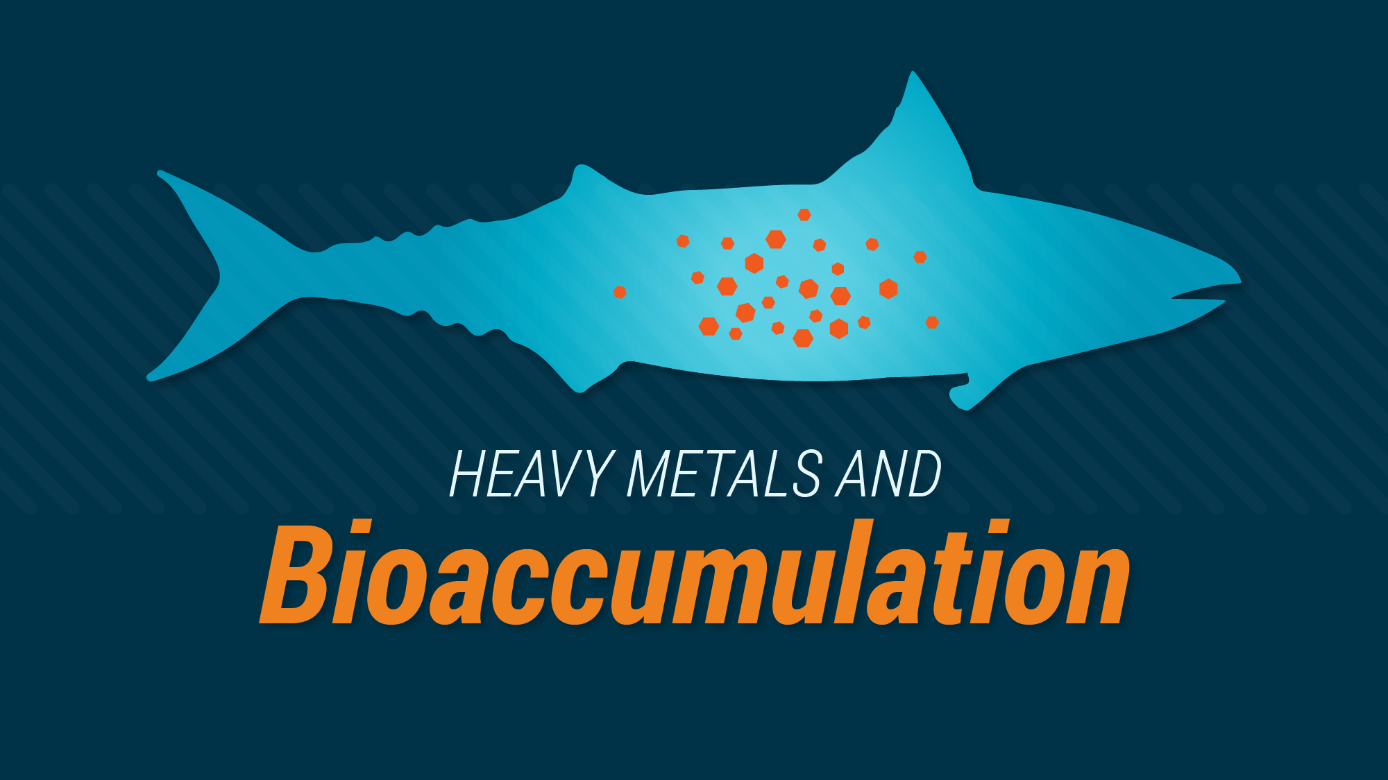 Heavy Metals And Bioaccumulation: What You Need to Know – SimpleLab Tap ...