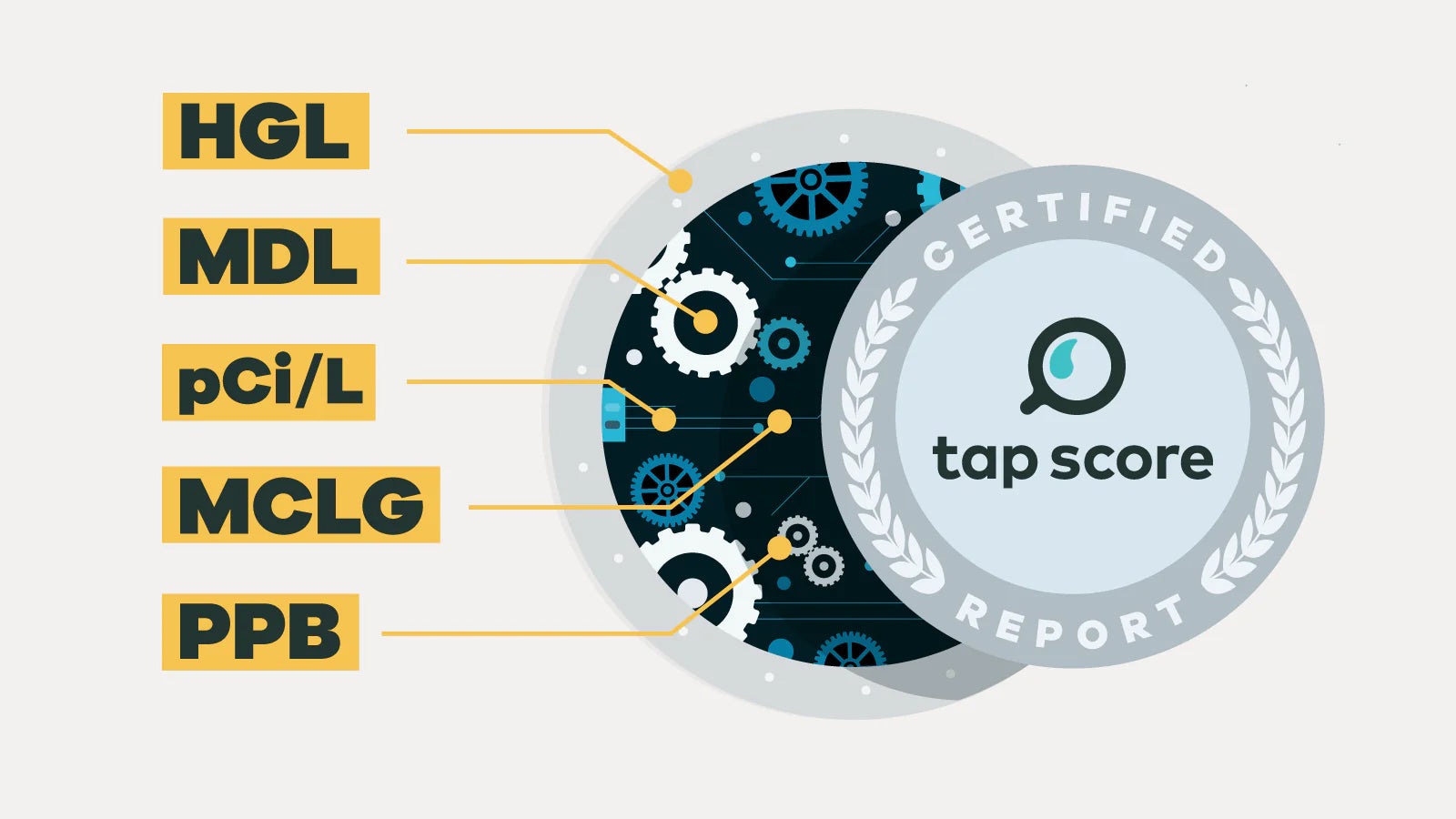 Common Tap Score Report Terms: What Do They Mean? – SimpleLab Tap Score