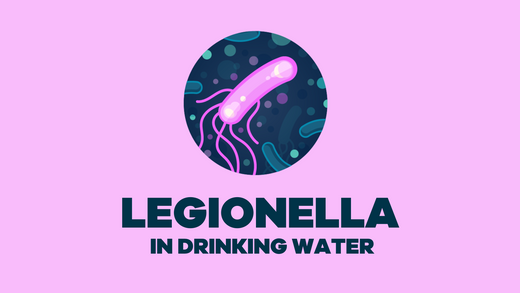 Legionella in Drinking Water: What You Need to Know – SimpleLab Tap Score