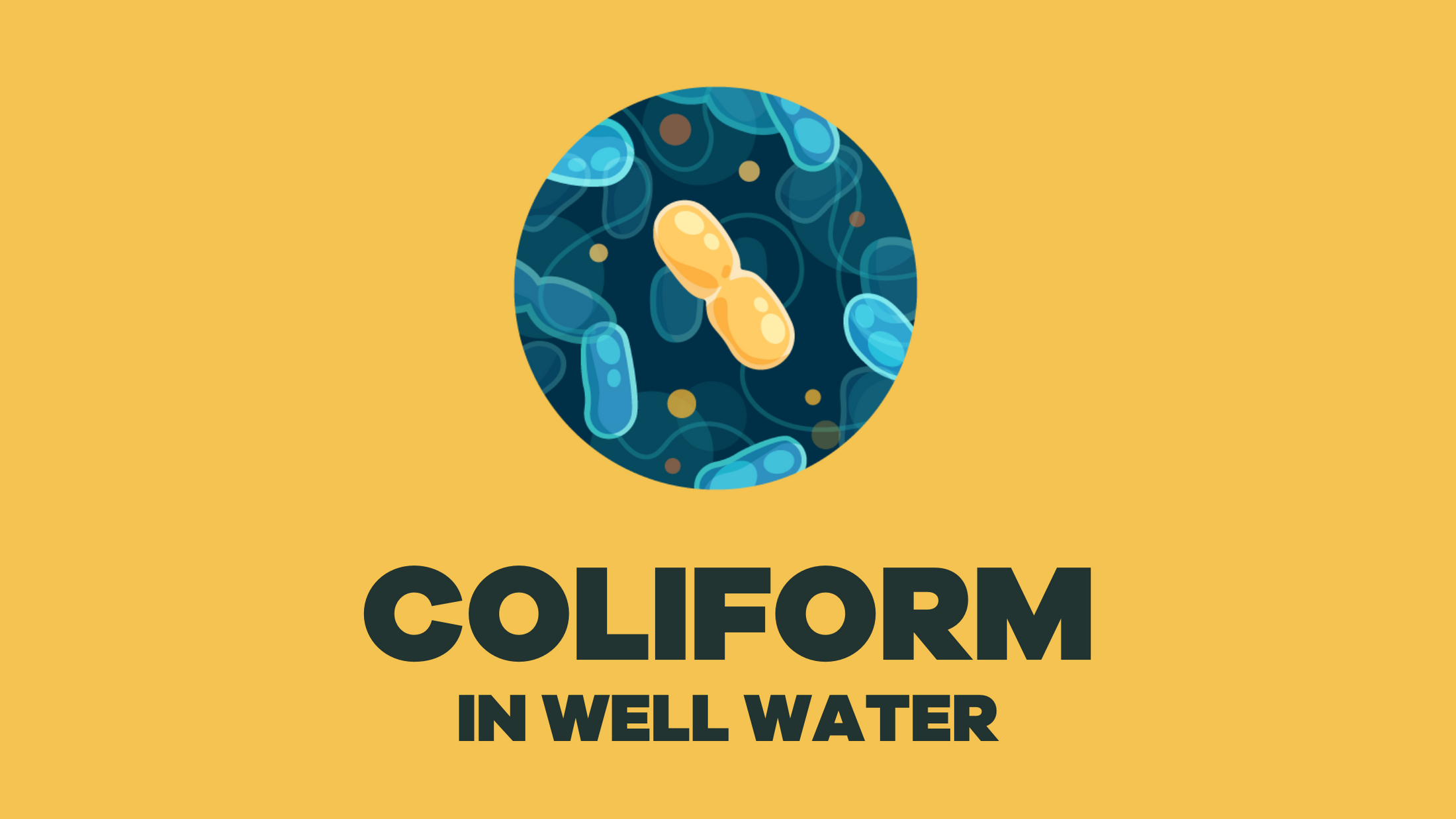 Quick Guide: Coliform Bacteria in Well Water – Tap Score