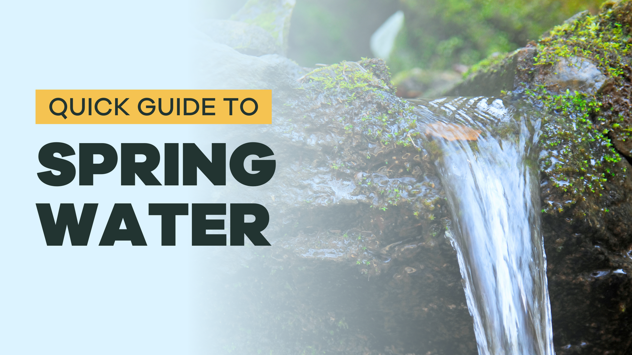Quick Guide to Spring Water – SimpleLab Tap Score