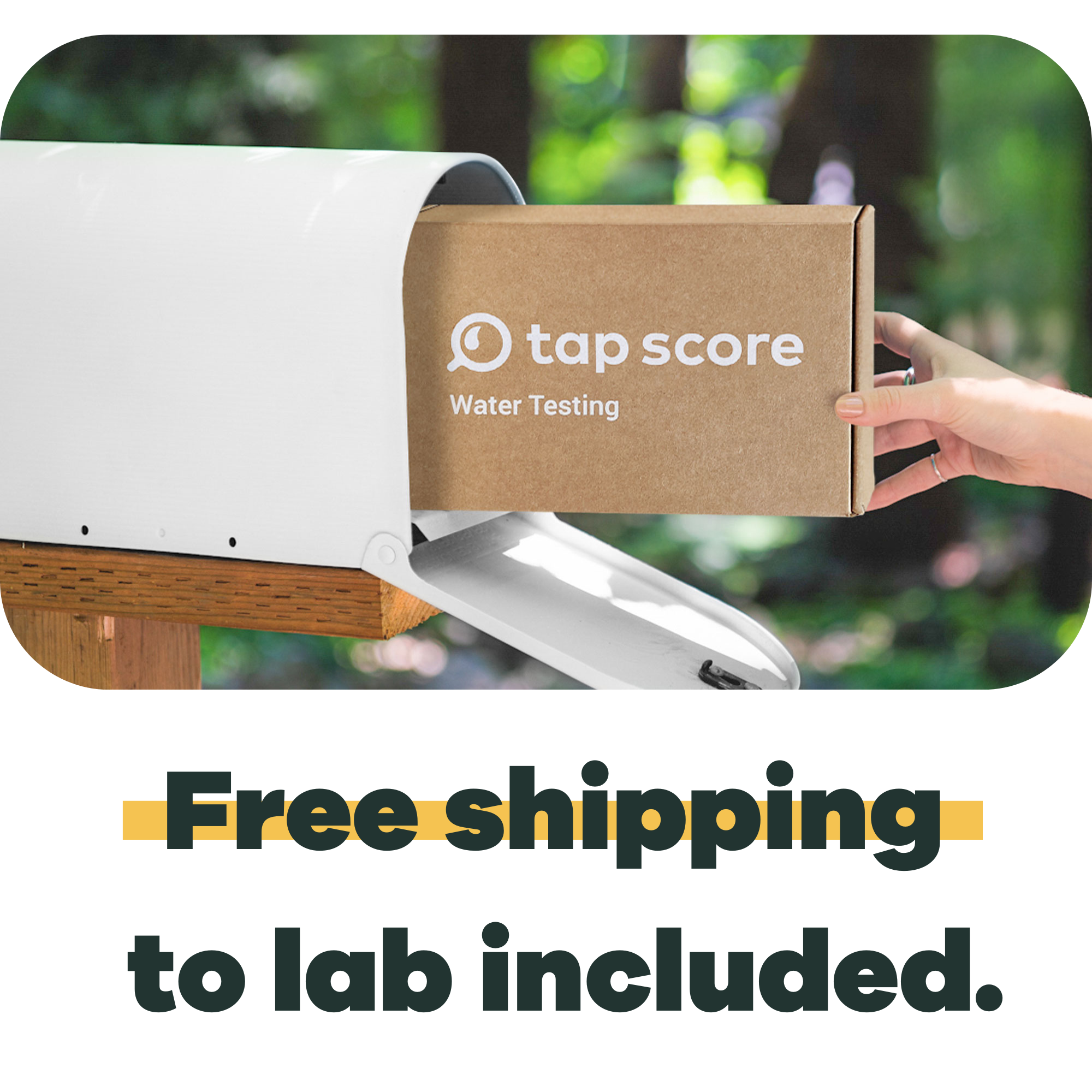 Dioxins and Furans Water Test Kit [Certified Lab] – SimpleLab Tap Score