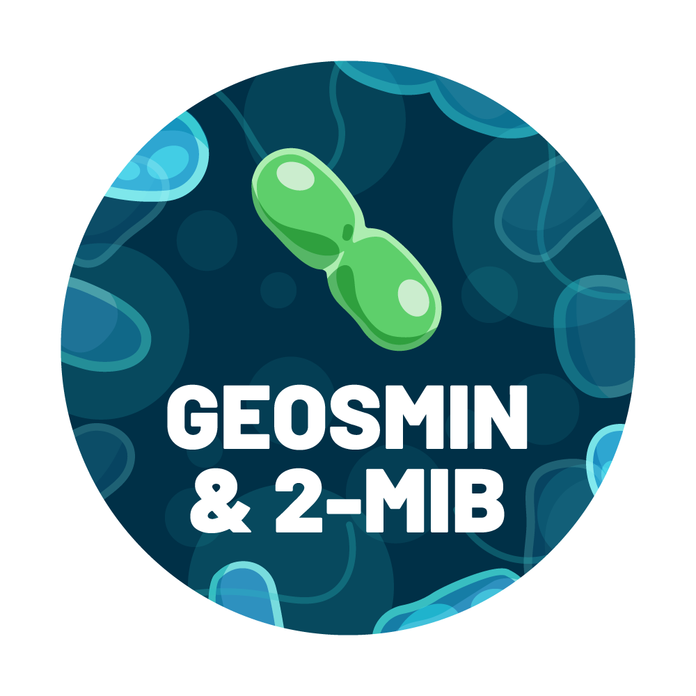 Geosmin and 2-MIB Water Test Kit [Certified Lab] – SimpleLab Tap Score